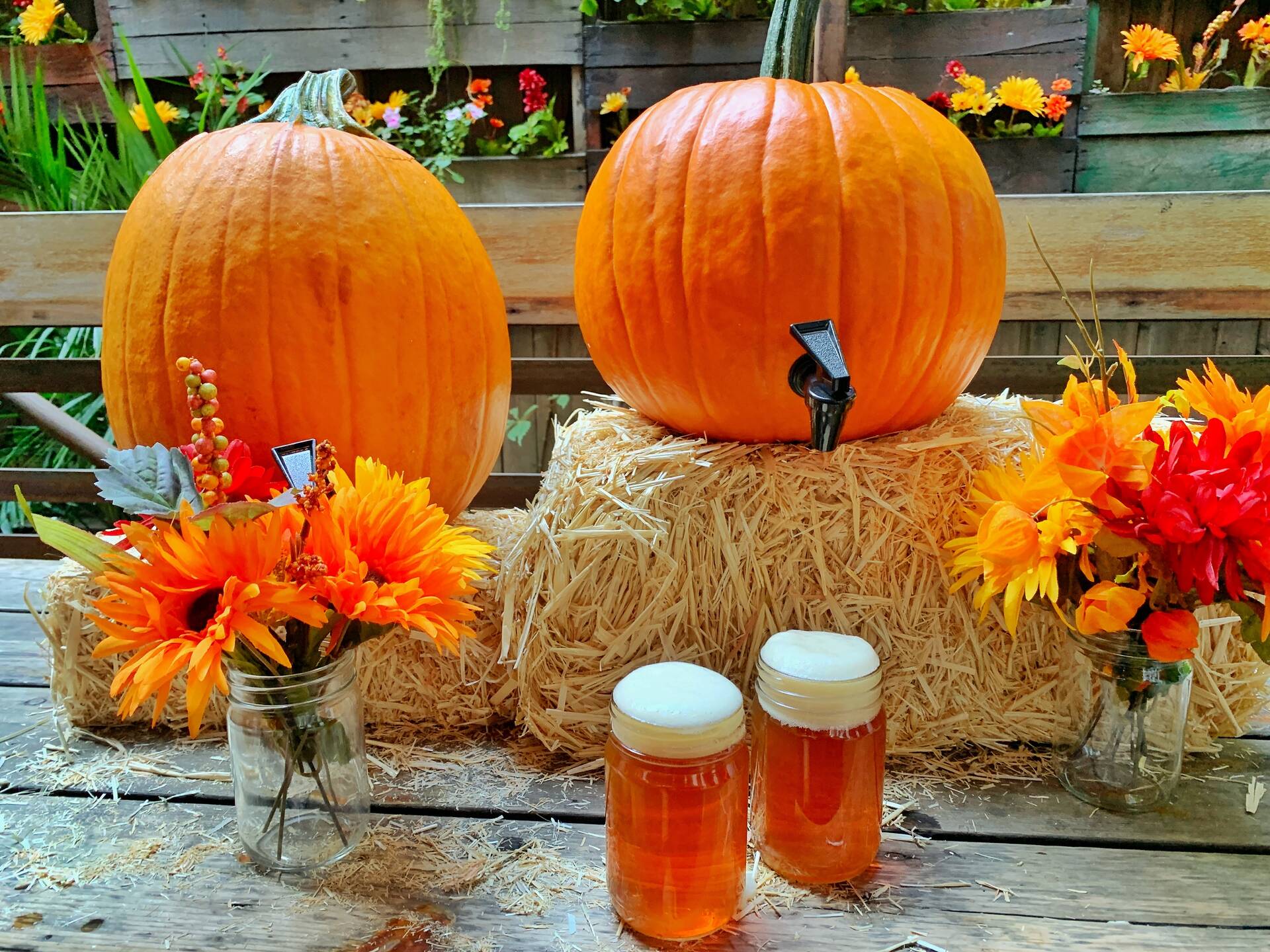 Oktoberfest 2025 NYC guide to celebrations, food and beer