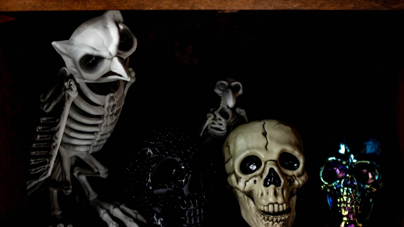 7 Best Haunted Houses in Miami for a Spine Tingling Halloween