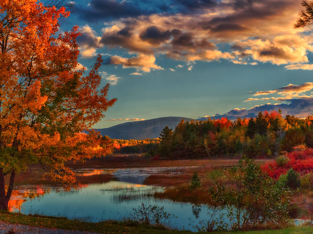The Best Fall Foliage in the USA For Beautiful Fall Colors