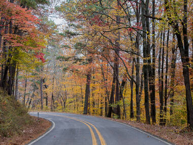 The Best Fall Foliage in the USA For Beautiful Fall Colors