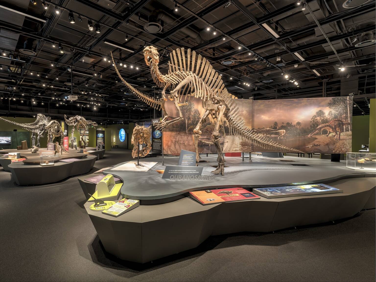 Phillip and Patricia Frost Museum of Science | Miami, FL | Things to do ...