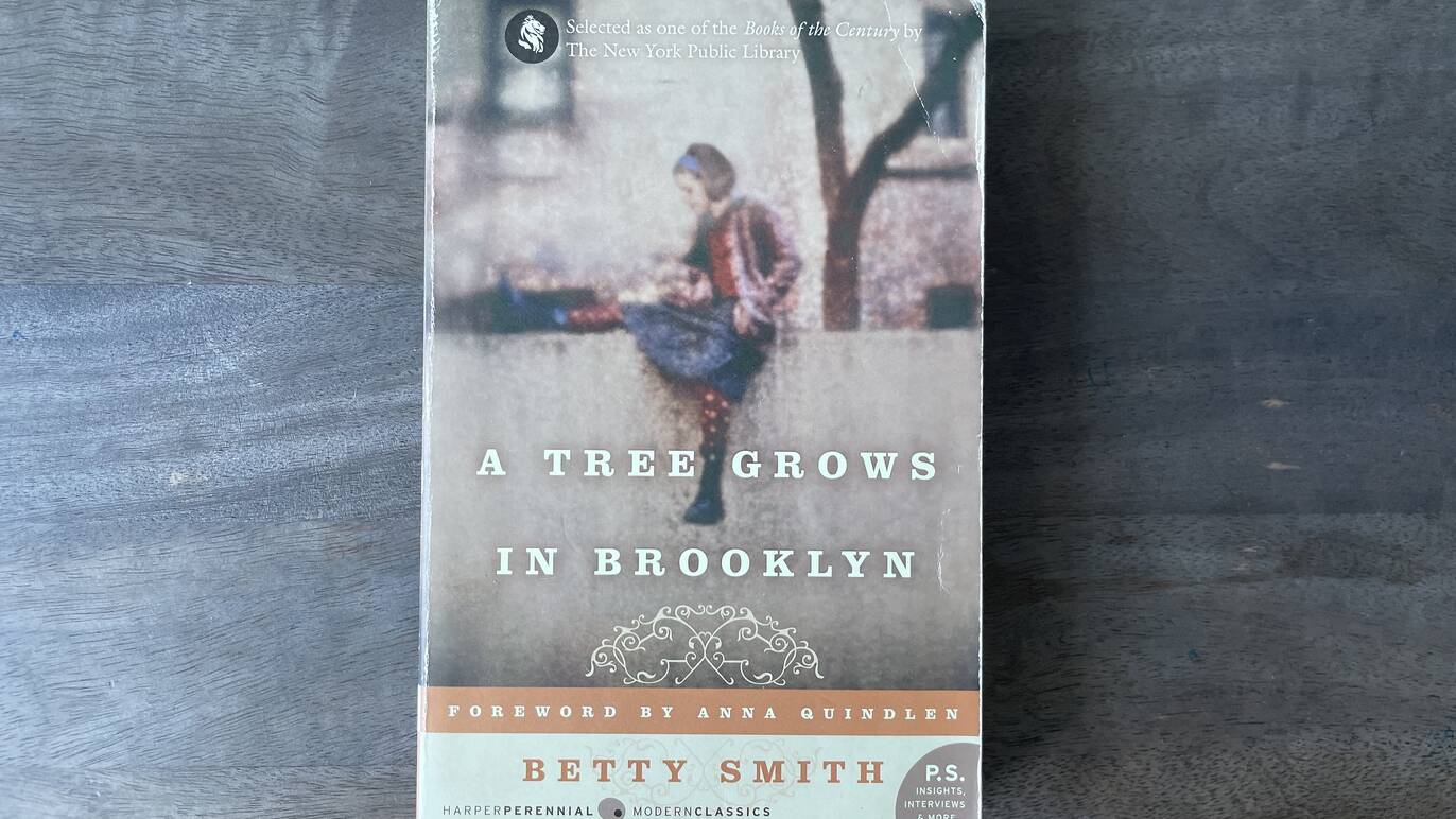 The 25 best books set in or about New York