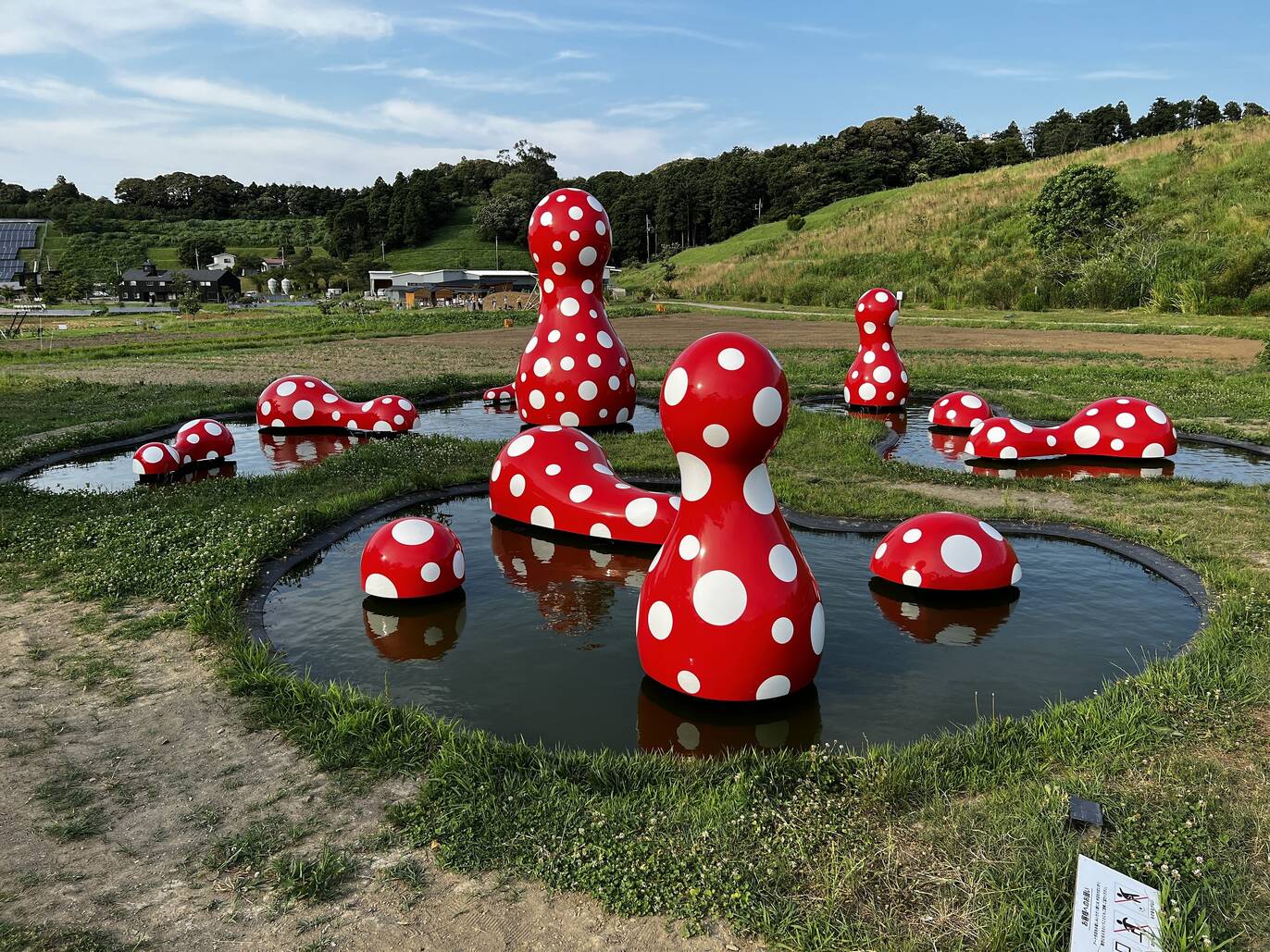 9 best parks and grand green spaces to enjoy in Tokyo