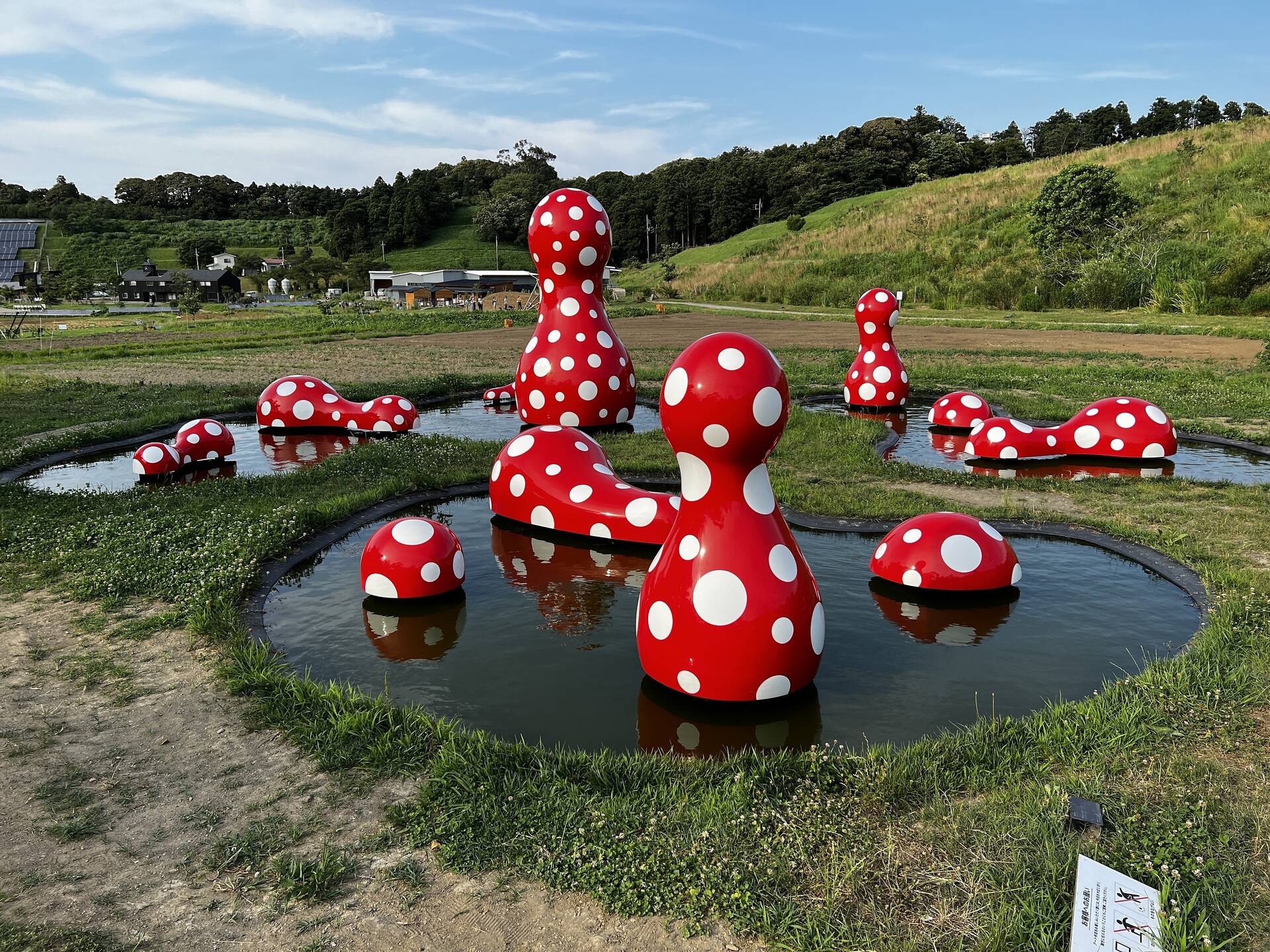 9 best parks and grand green spaces to enjoy in Tokyo