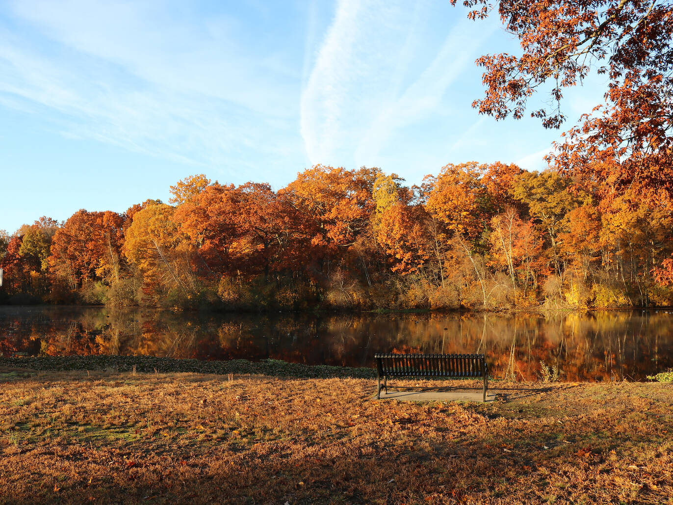 18 Best Fall Foliage Train Rides For Leaf Peeping