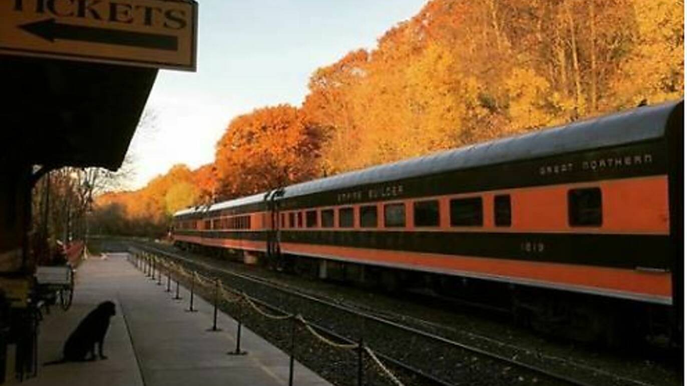 These Are the Best Fall Foliage Train Rides in the U.S.