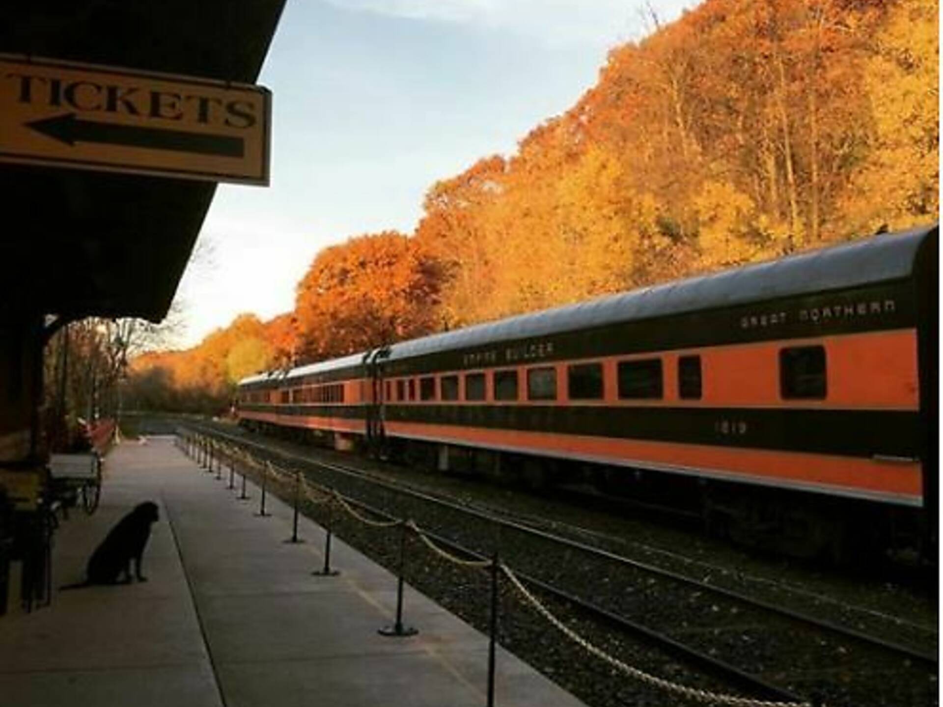 These Are the Best Fall Foliage Train Rides in the U.S.