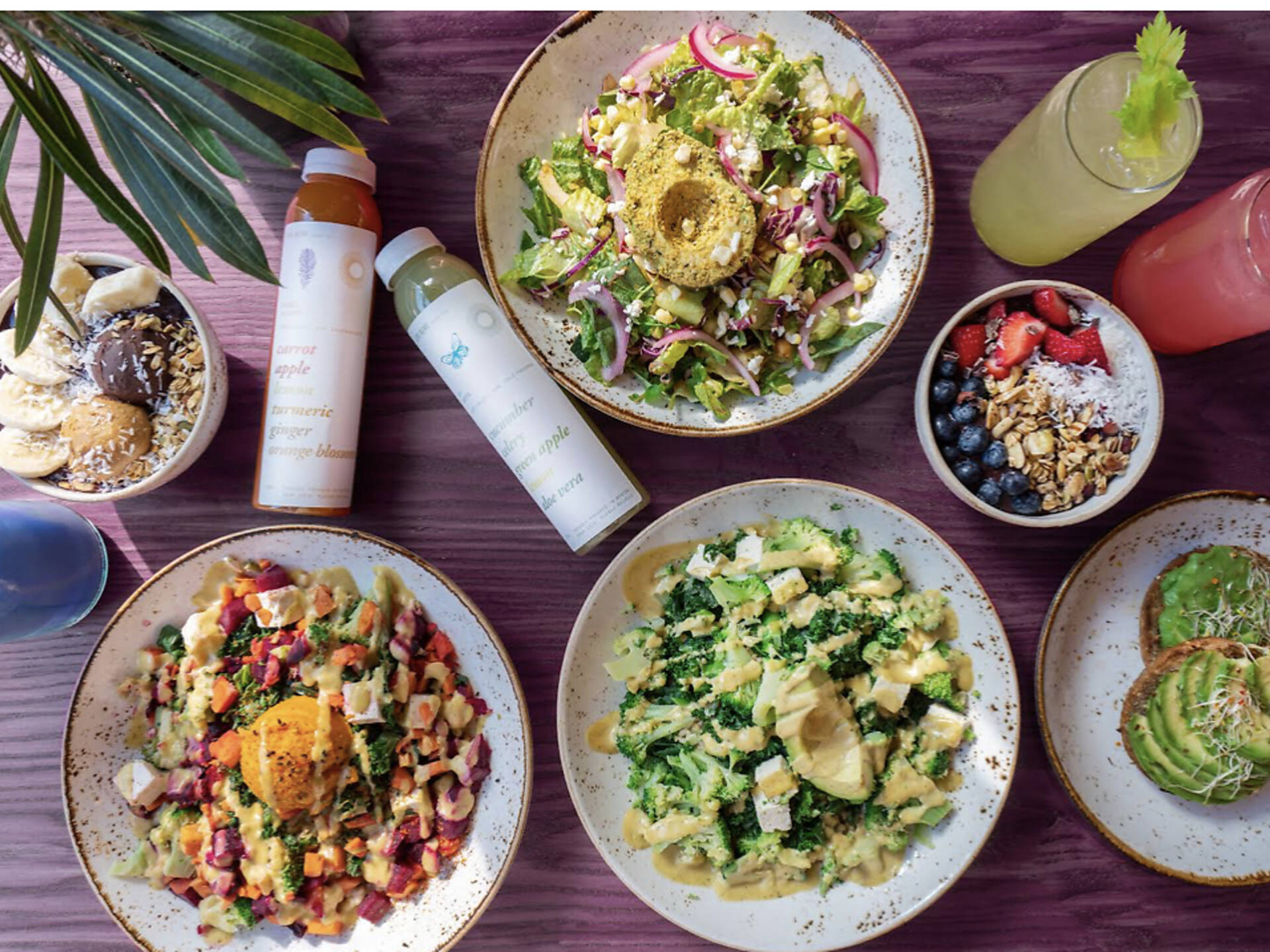 17 Best Vegan Restaurants in Boston for Plant-Based Meals
