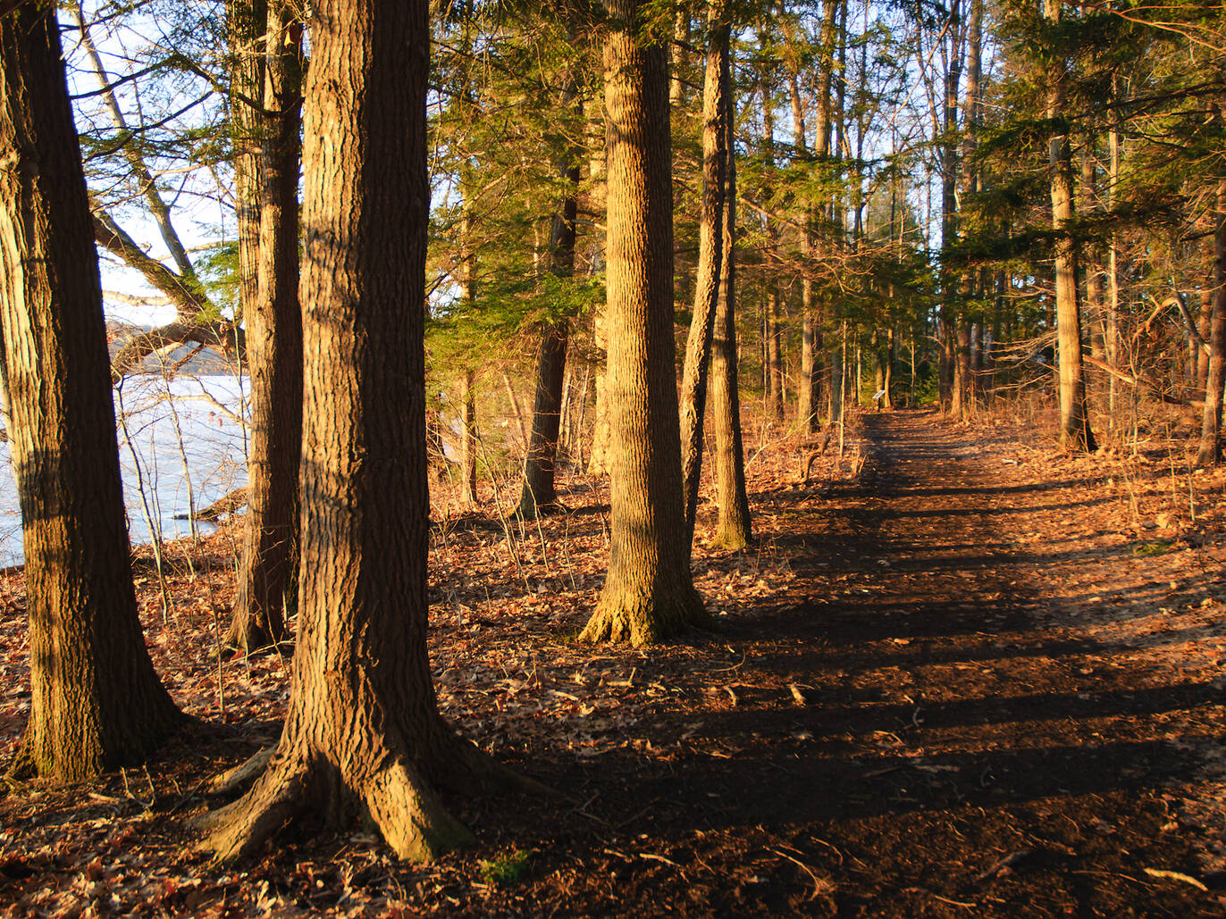 13 Most Gorgeous Fall Foliage Bike Trails in America