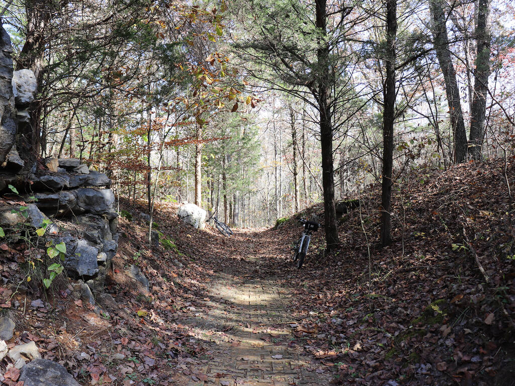 12 Best Fall Foliage Bike Trails in the US