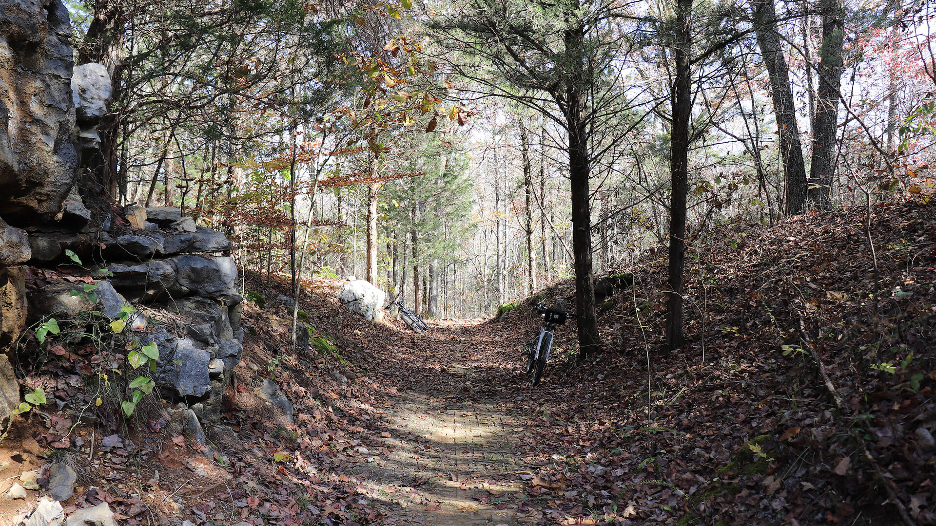 12 Best Fall Foliage Bike Trails in the US