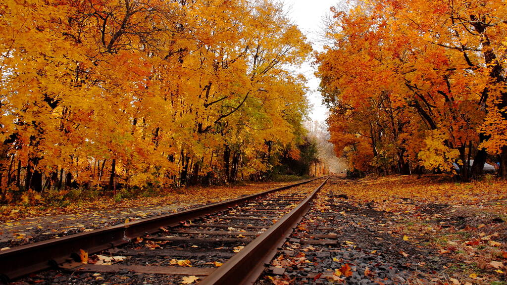 These Are the Best Fall Foliage Train Rides in the U.S.