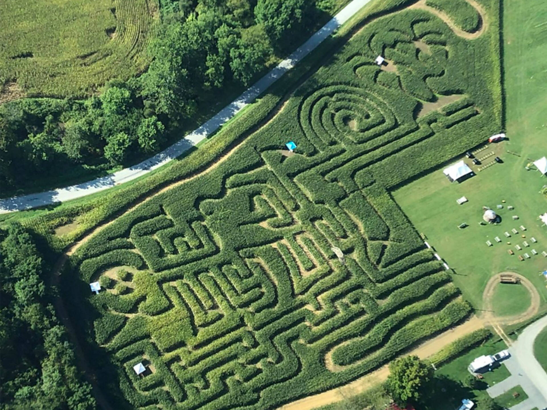 16 Biggest and Best Corn Mazes in the US to Get Lost In