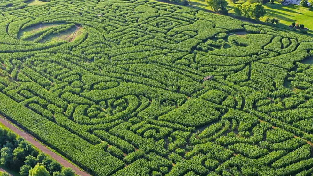 17 Biggest and Best Corn Mazes in America to Get Lost In