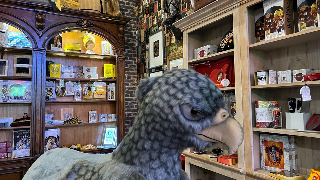 The Store of Requirement