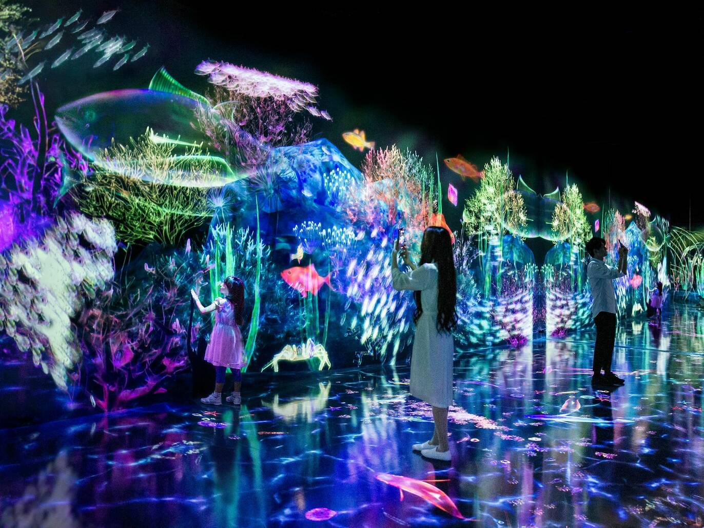 Best events, festivals and things to do in Tokyo in October 2024