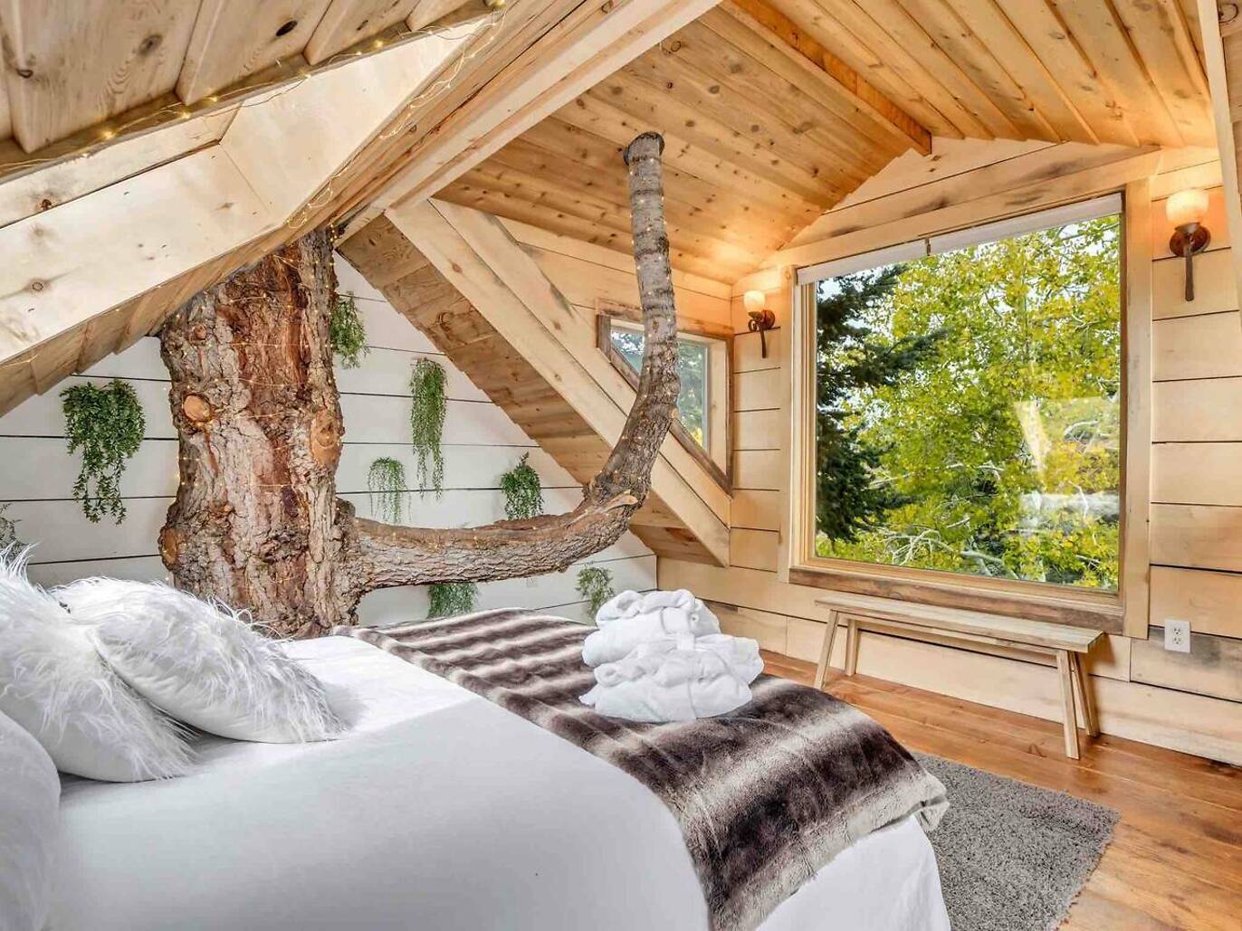 11 Best Airbnb Treehouses in the U.S. for 2023 | Unique U.S.Treetop Stays