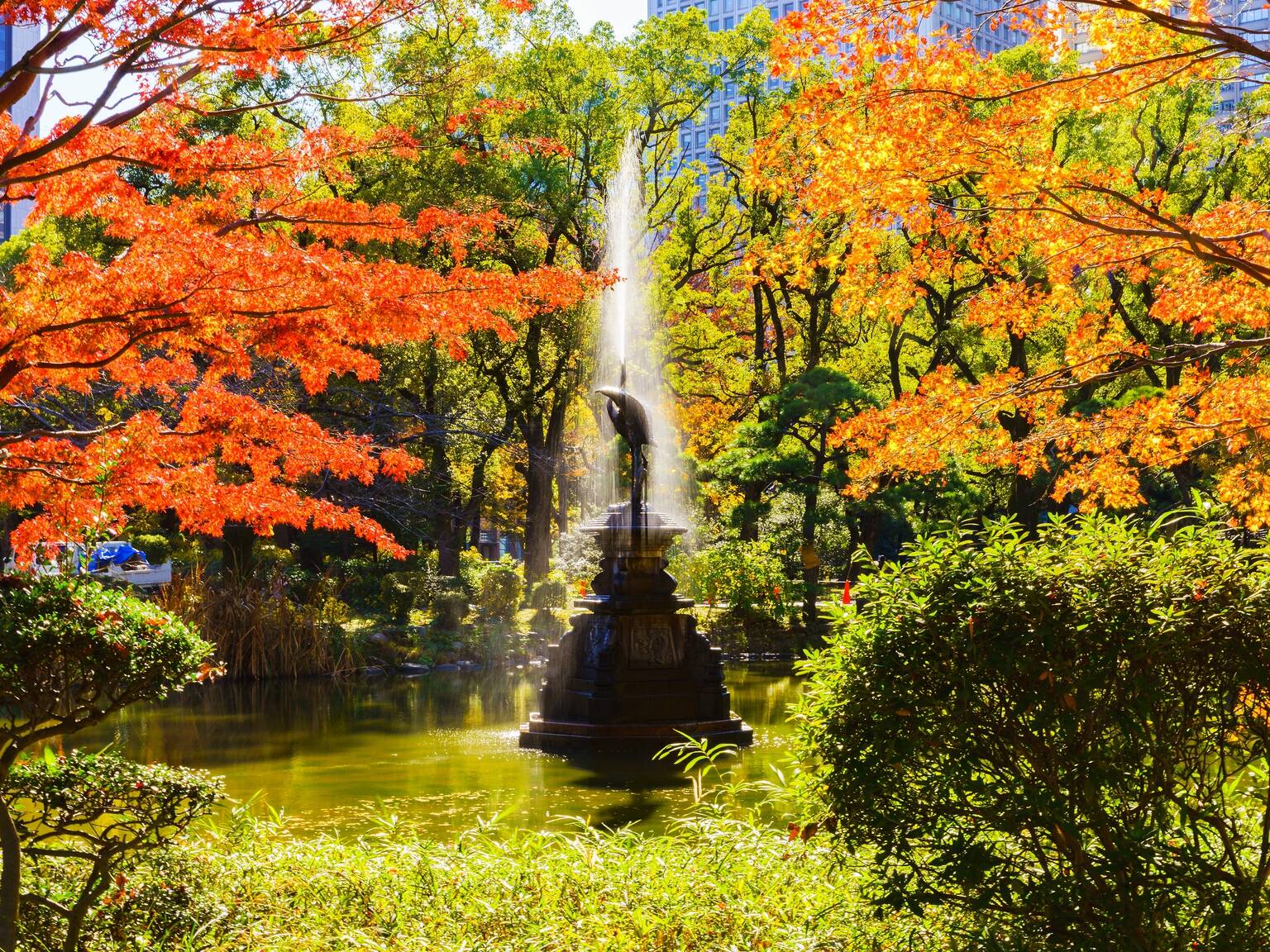 10 best parks, gardens and streets to see the autumn leaves in Tokyo