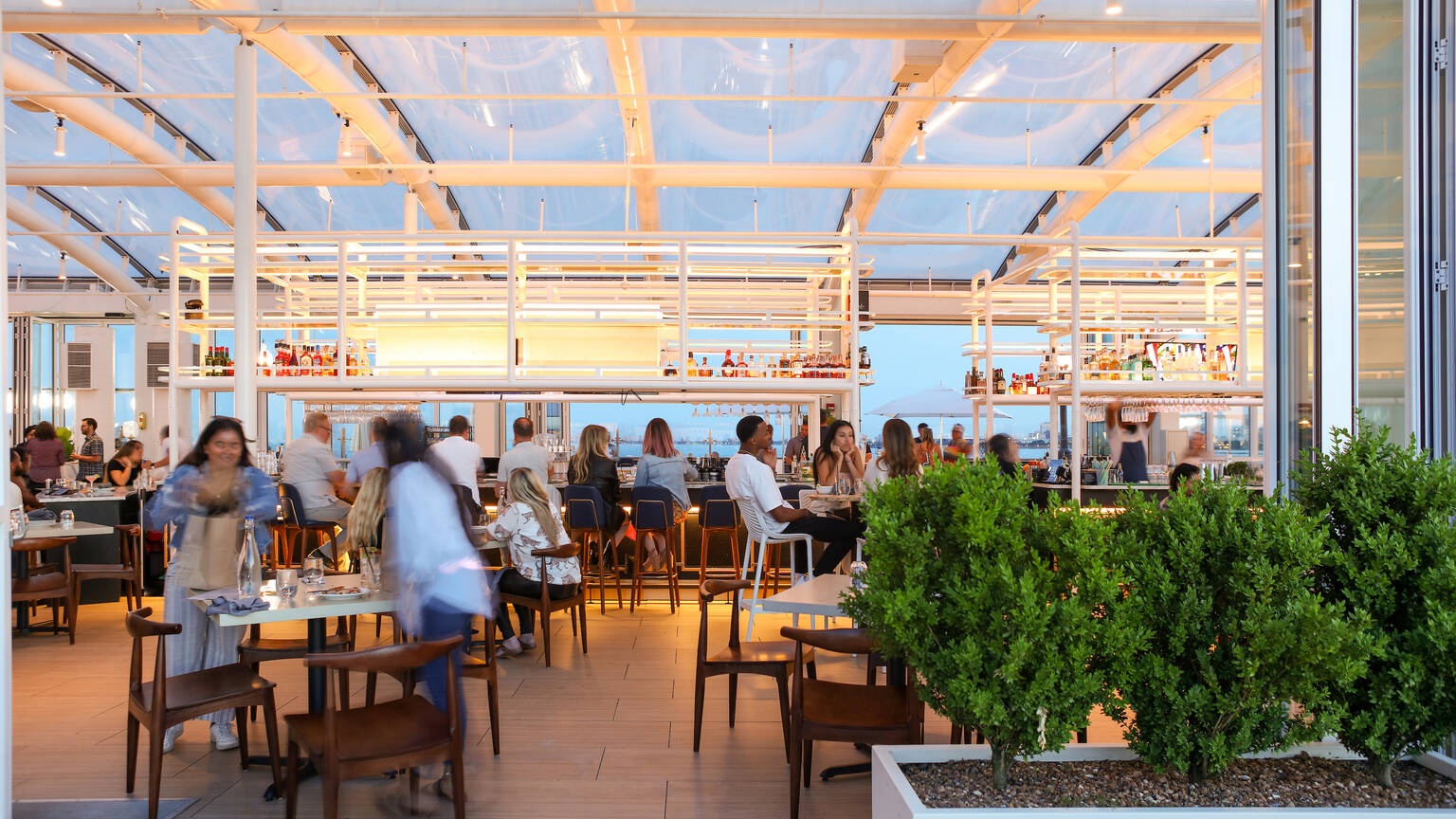 Indoor and Winter Rooftop Bars in Chicago: Top Spots to Get Cozy