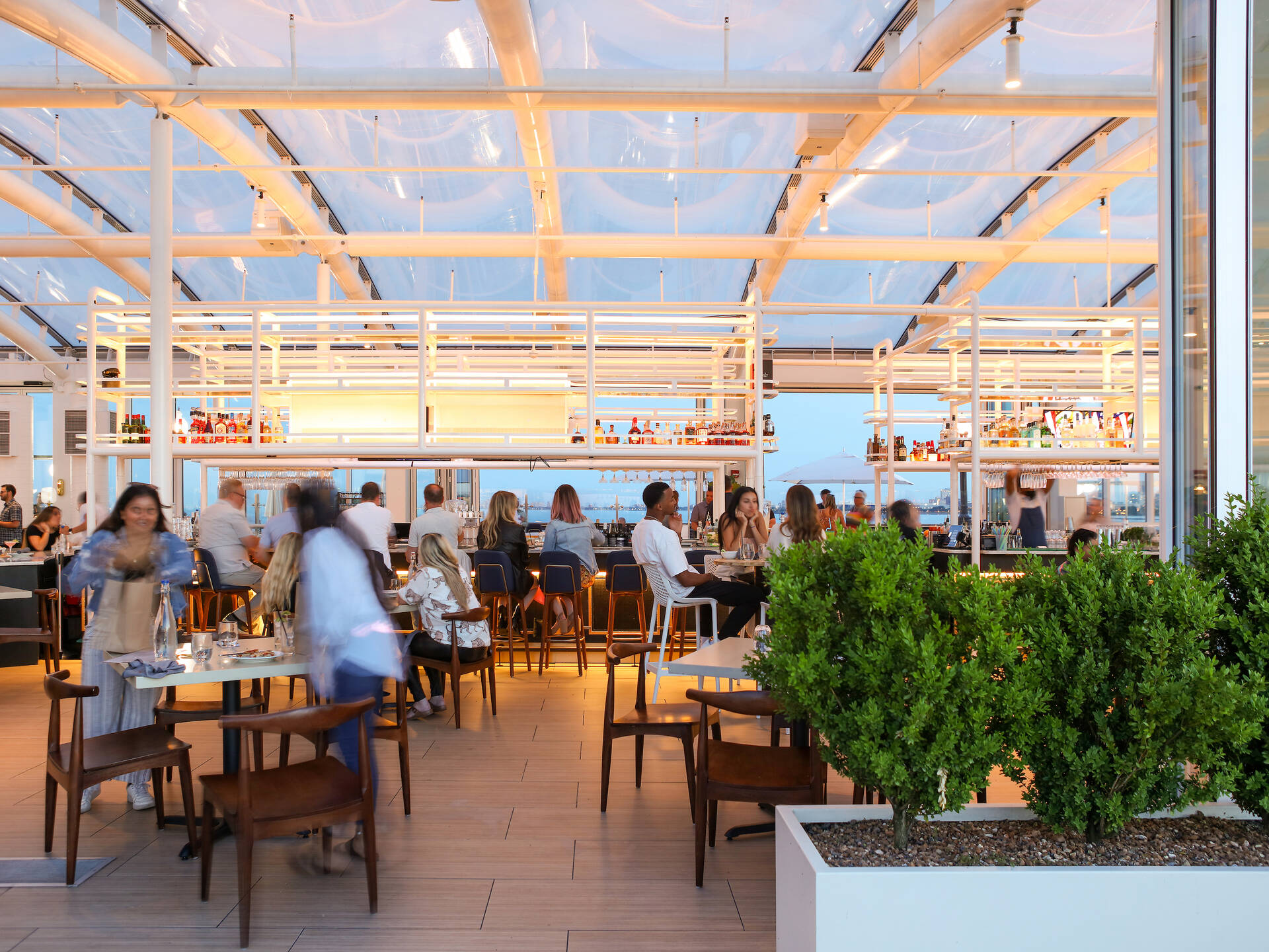 Indoor and Winter Rooftop Bars in Chicago: Top Spots to Get Cozy