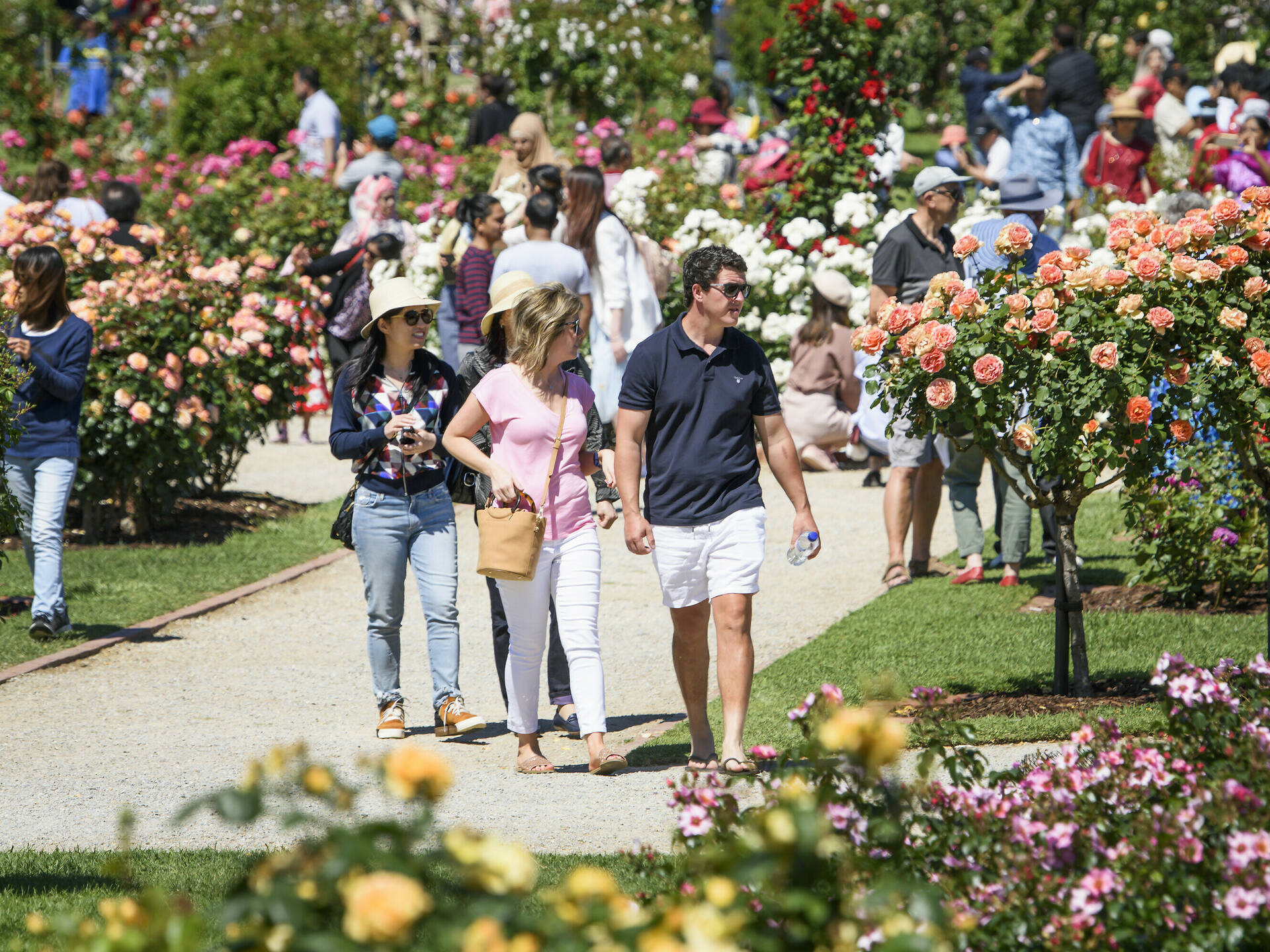 Melbourne Events in November 2024 to Watch Out for