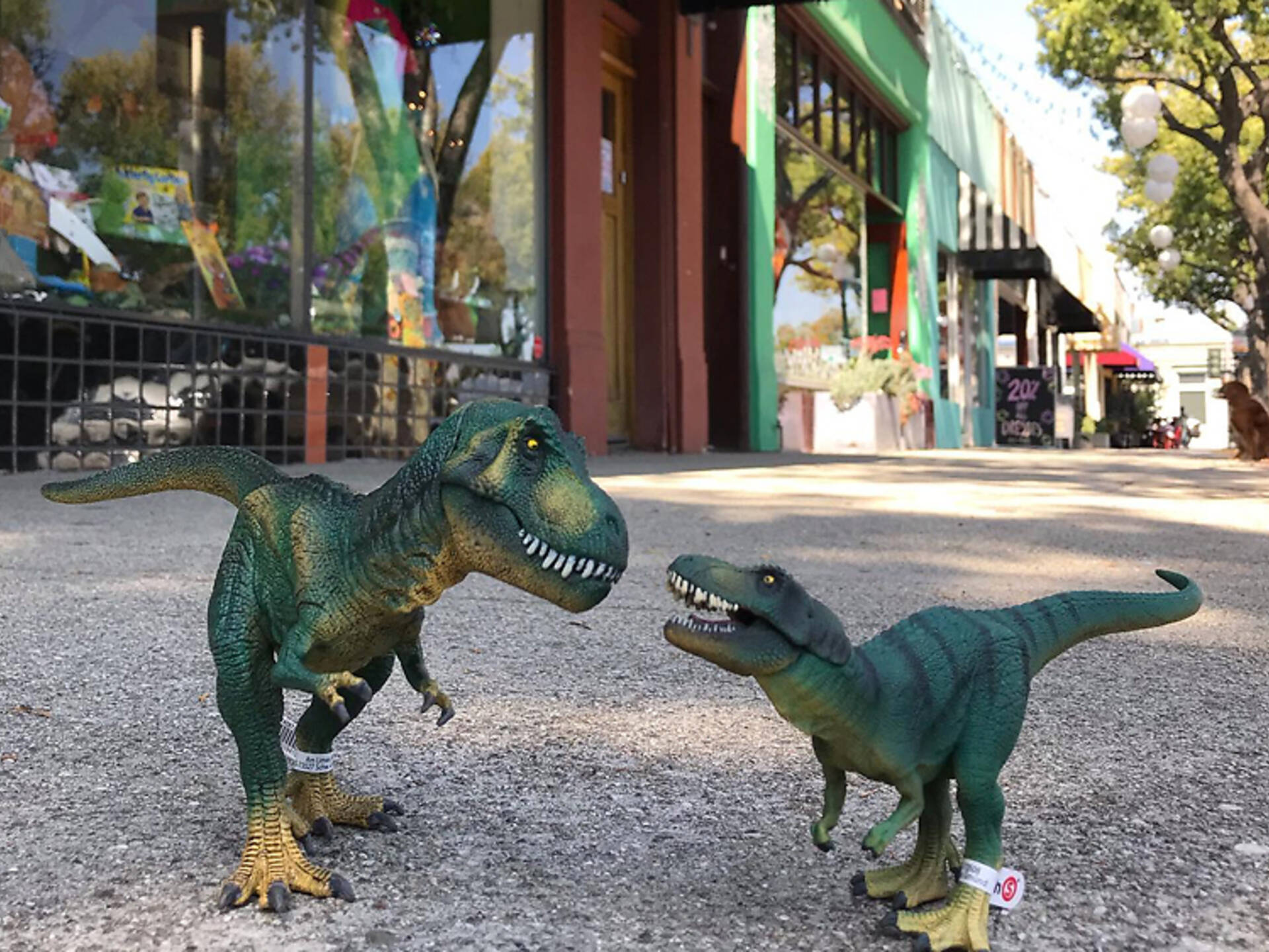 25 Best Toy Stores in the USA for Dolls, Cars, Blocks and More