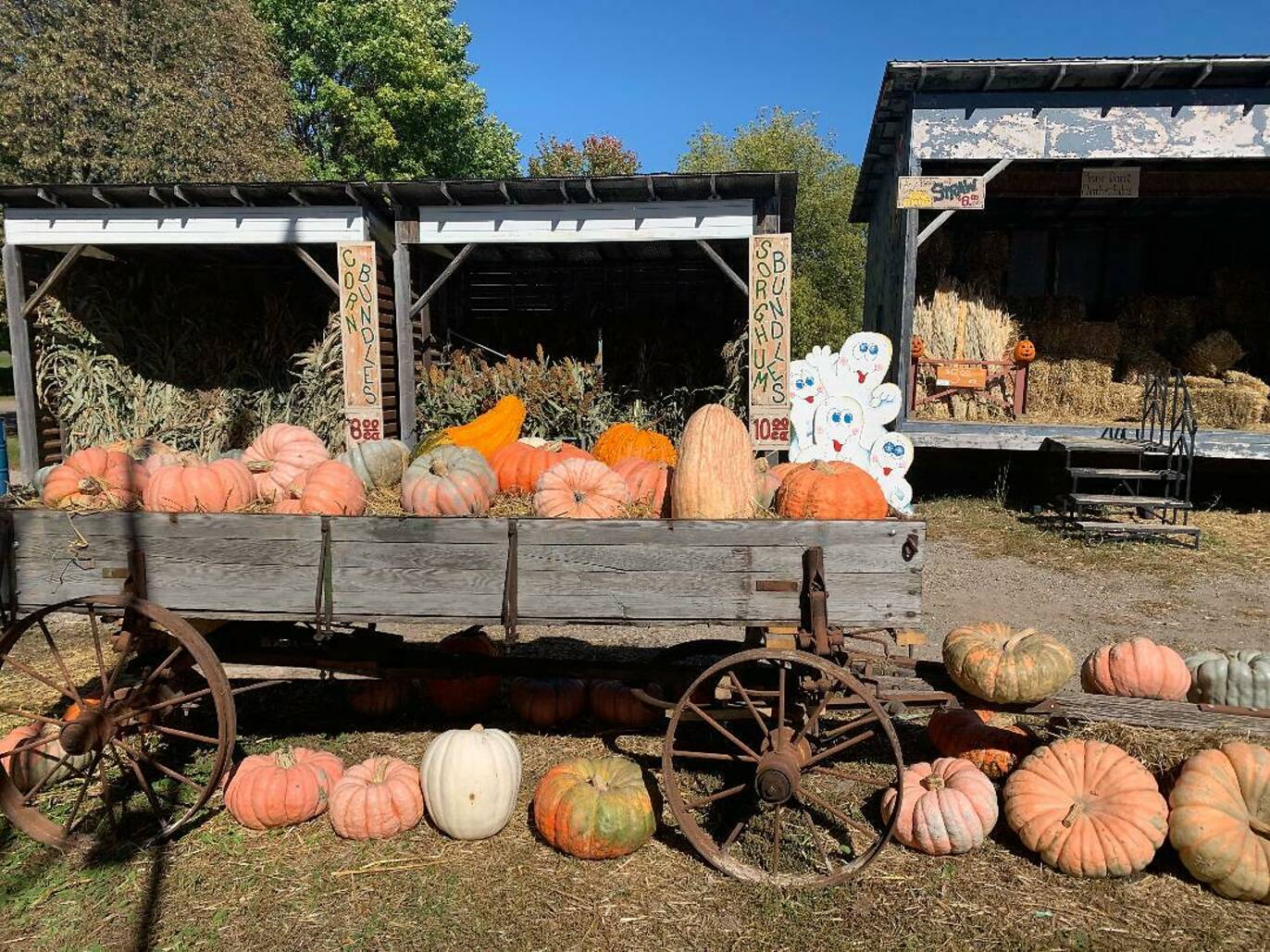 19 Best Pumpkin Patches in the US