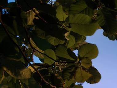 Desaru 101: What To See, Do And Eat At Desaru