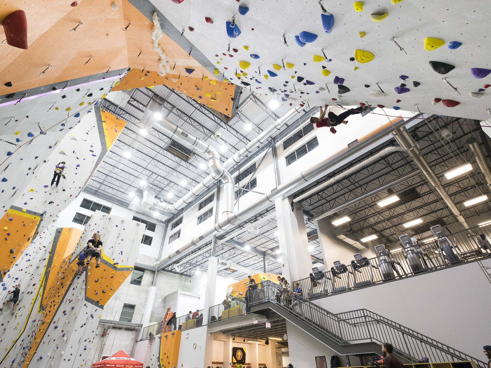 The best things to do in Avondale, Chicago