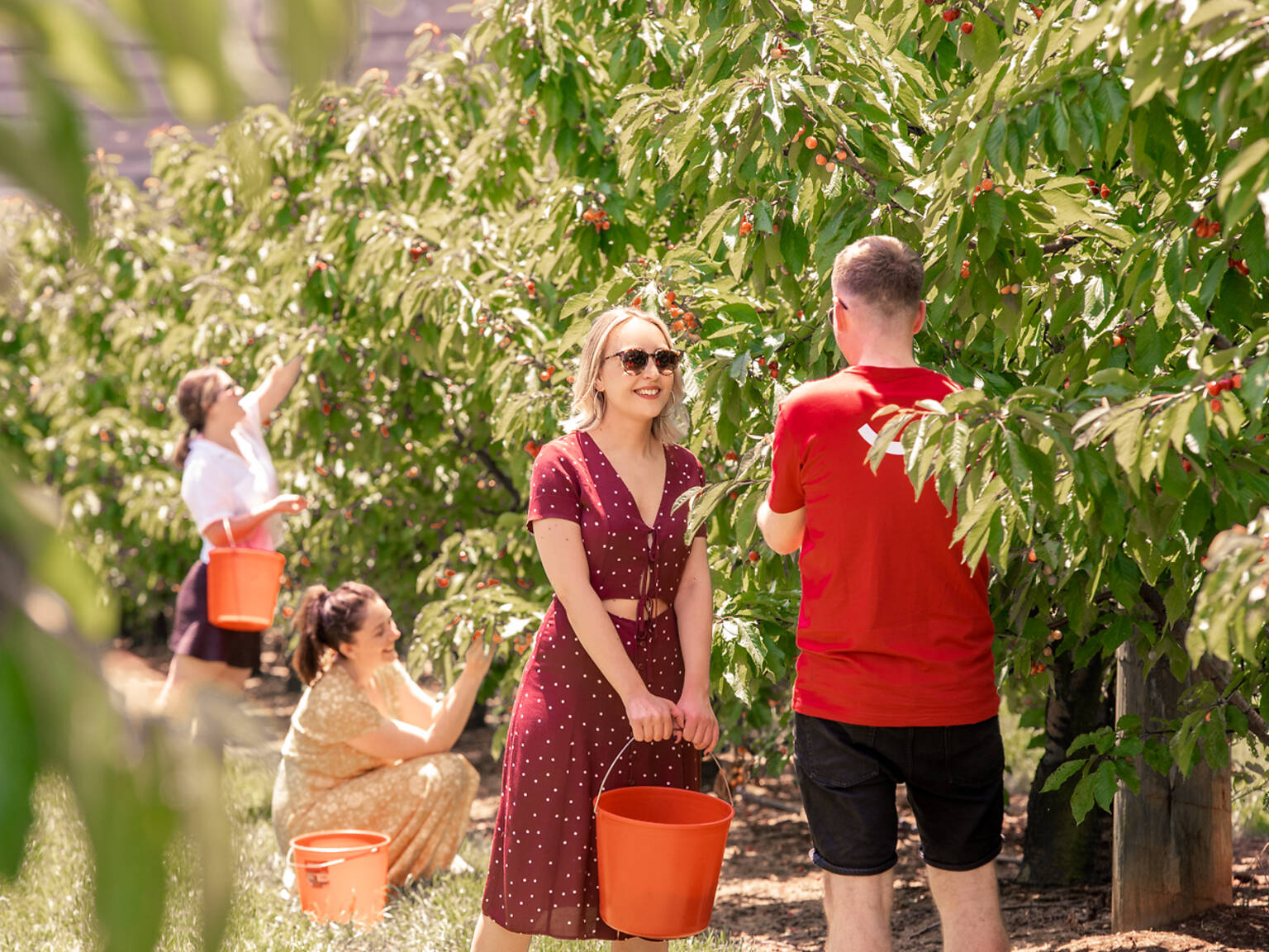 Best things to do and events in Melbourne in November 2025