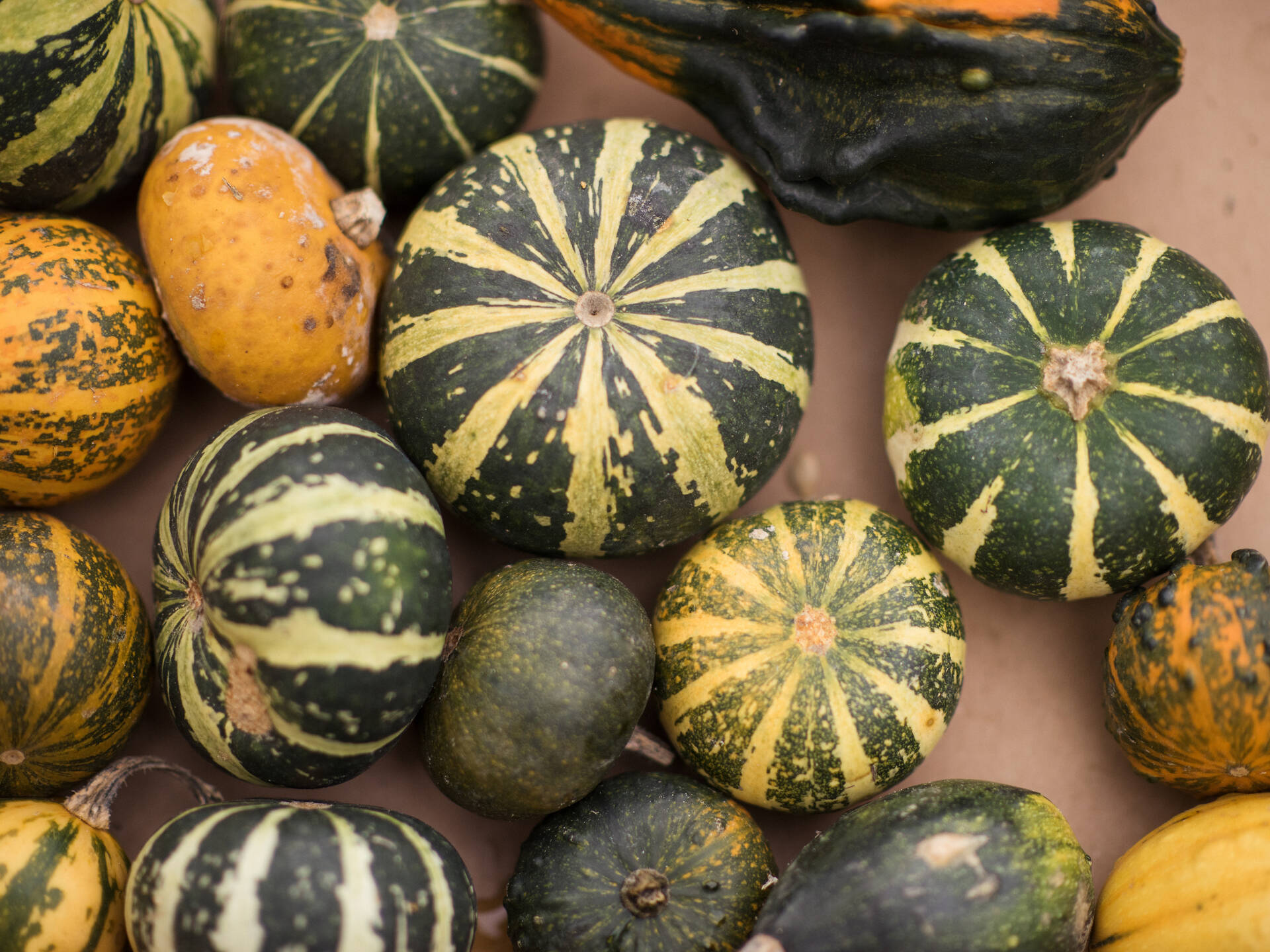 Witchy places to visit in London for a gothic taste of the occult