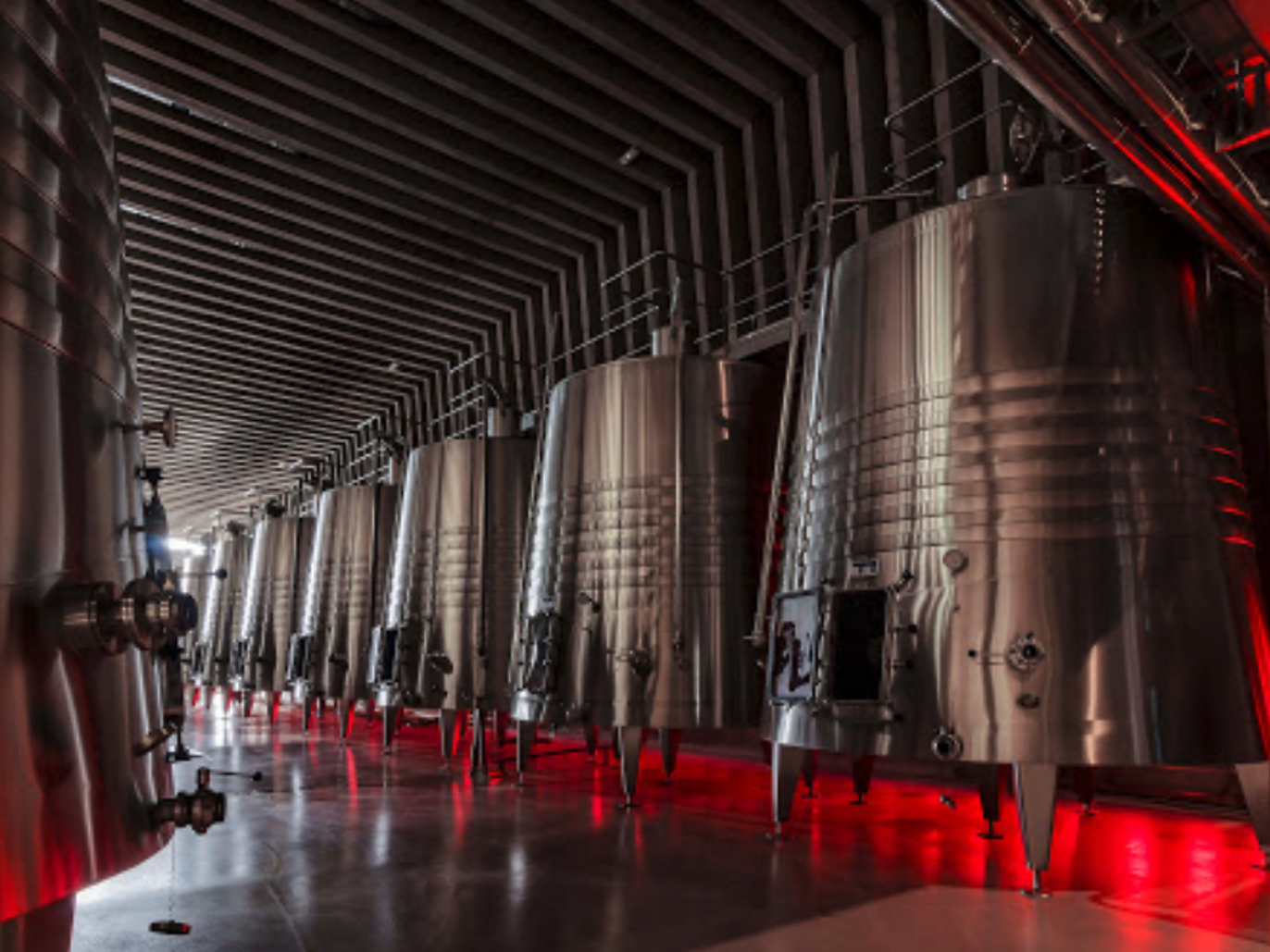 Las bodegas más impresionantes para una escapada de enoturismo