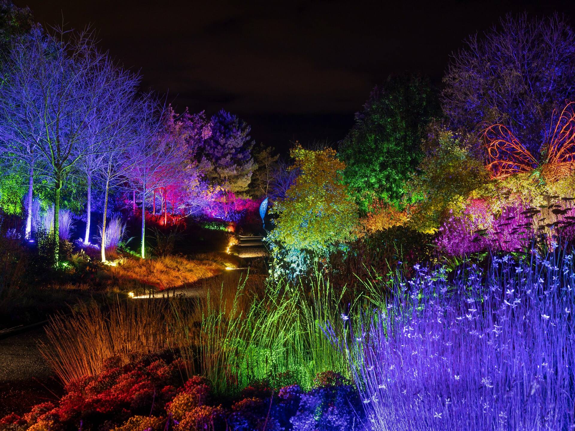 10 of the Most Dazzling Christmas Light Trails in the UK for 2024