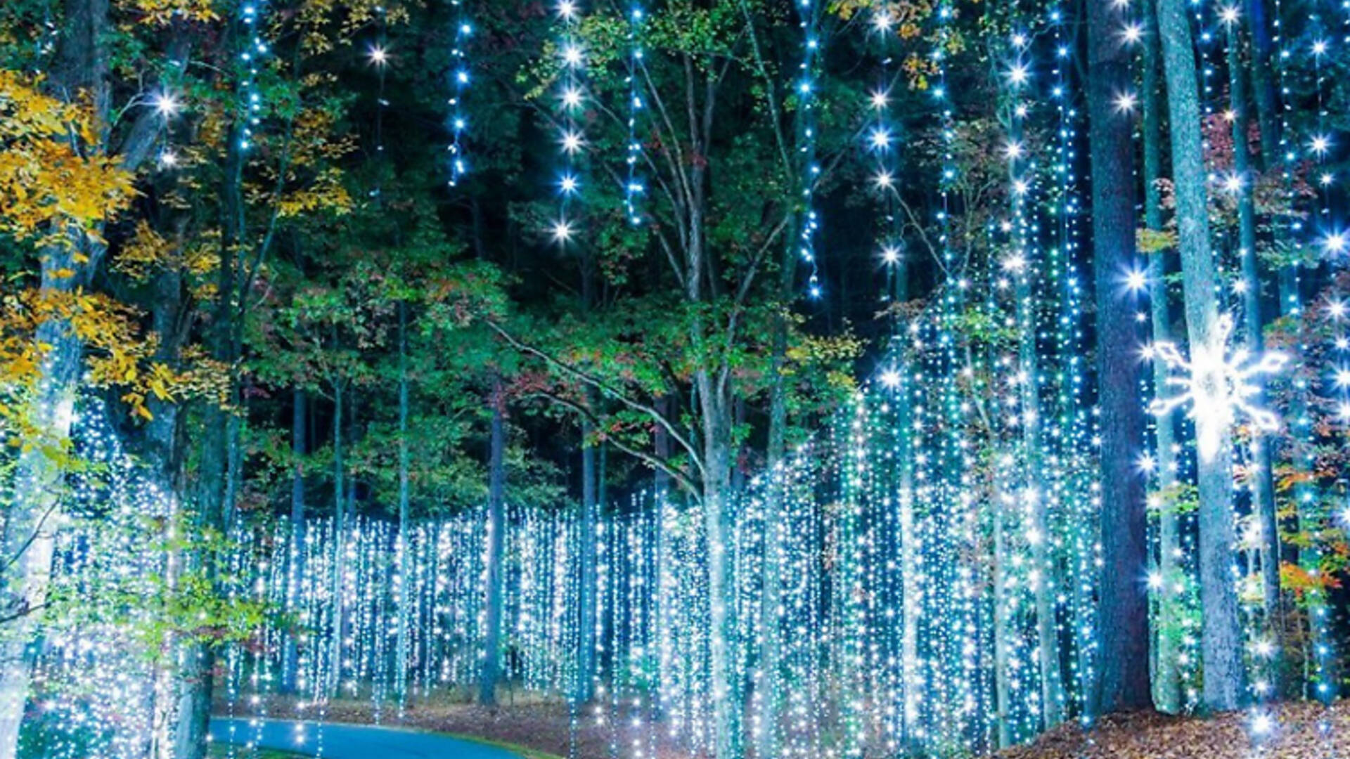 18 Festive Christmas Light Displays in the U.S. for a Magical Holiday