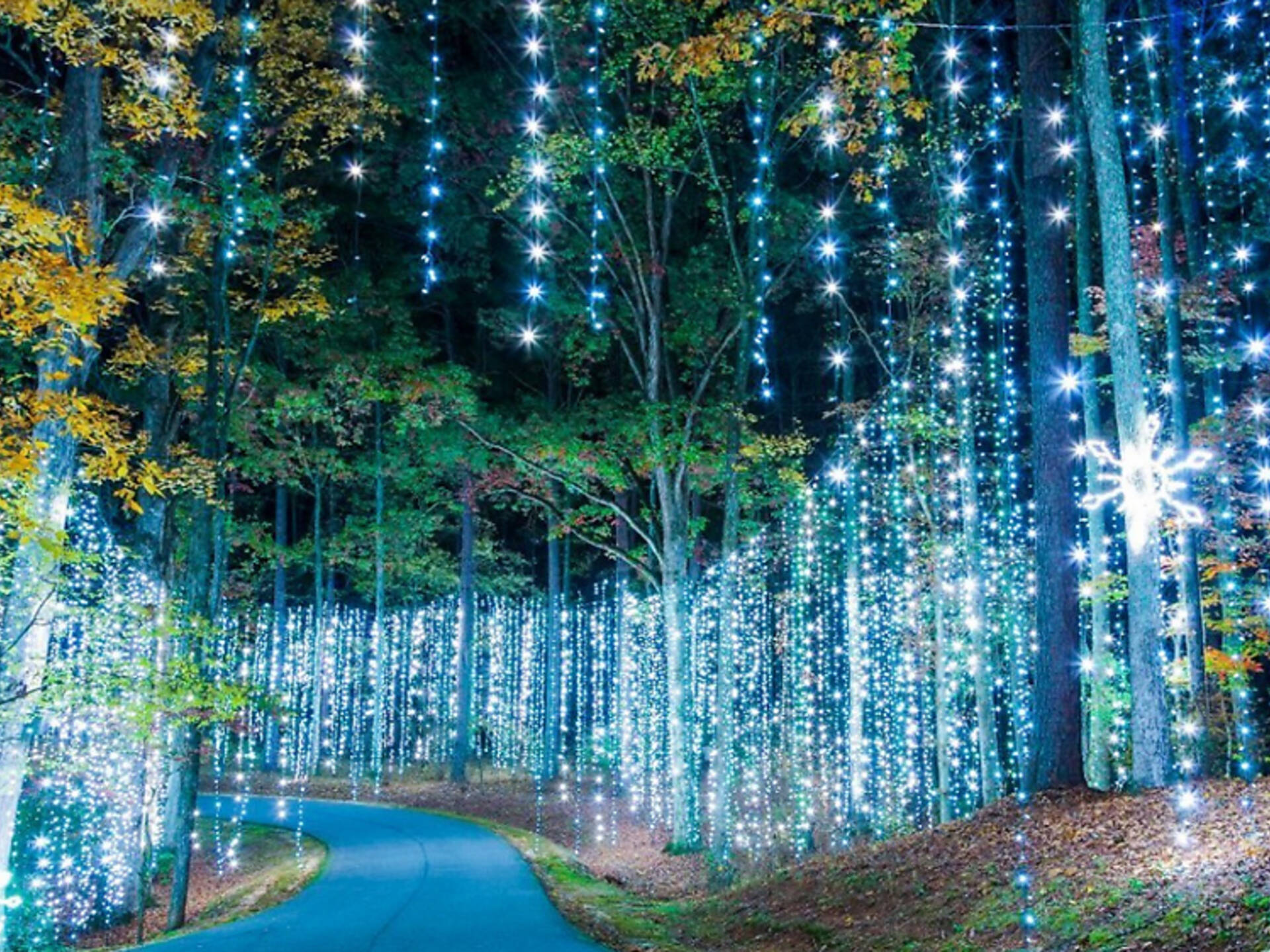 18 Festive Christmas Light Displays in the U.S. for a Magical Holiday