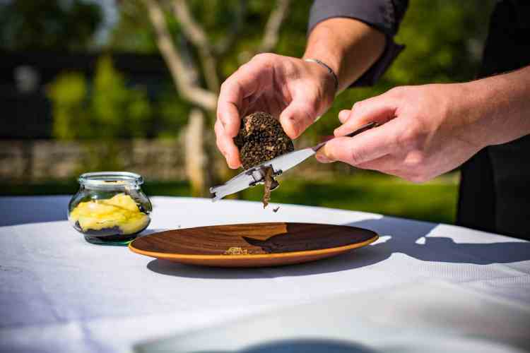 How and where to eat delicious Istrian truffles