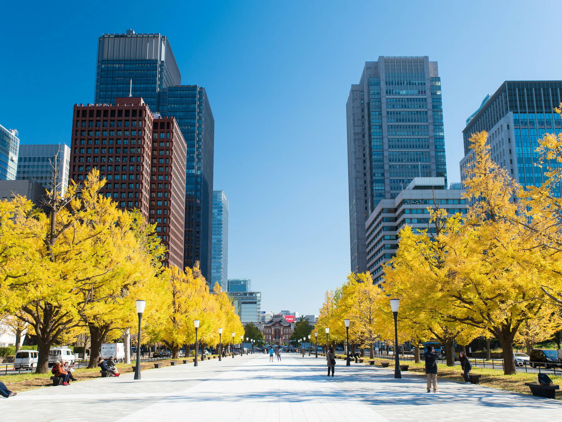 14 best parks, gardens and streets to see the autumn leaves in Tokyo