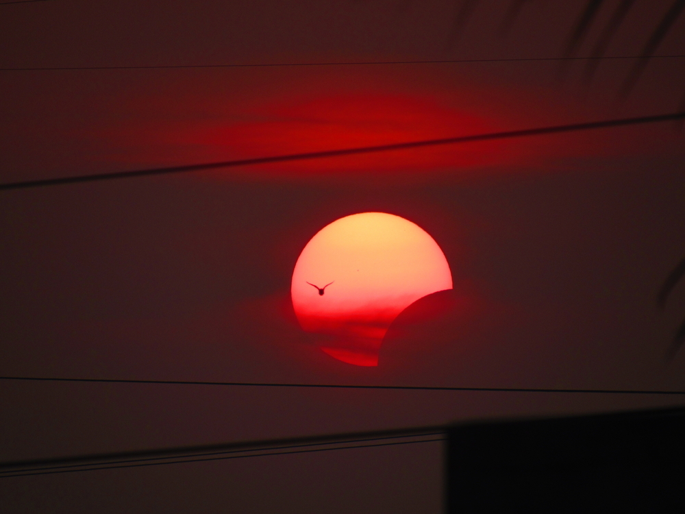 Delta Creates Flight 1218 For Eclipse Viewing From The Air