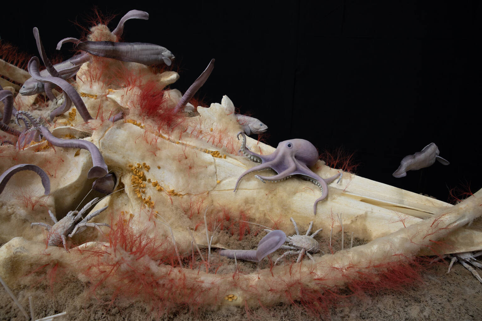 The Best Things to do in Chicago This Weekend From May 26-28