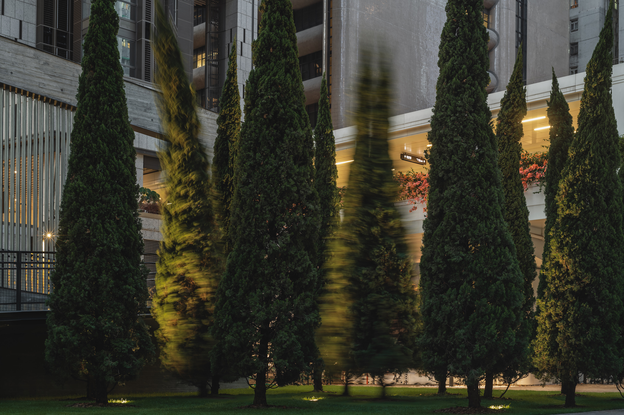 Joyful Trees (Arbores Laetae) | Art in Hong Kong