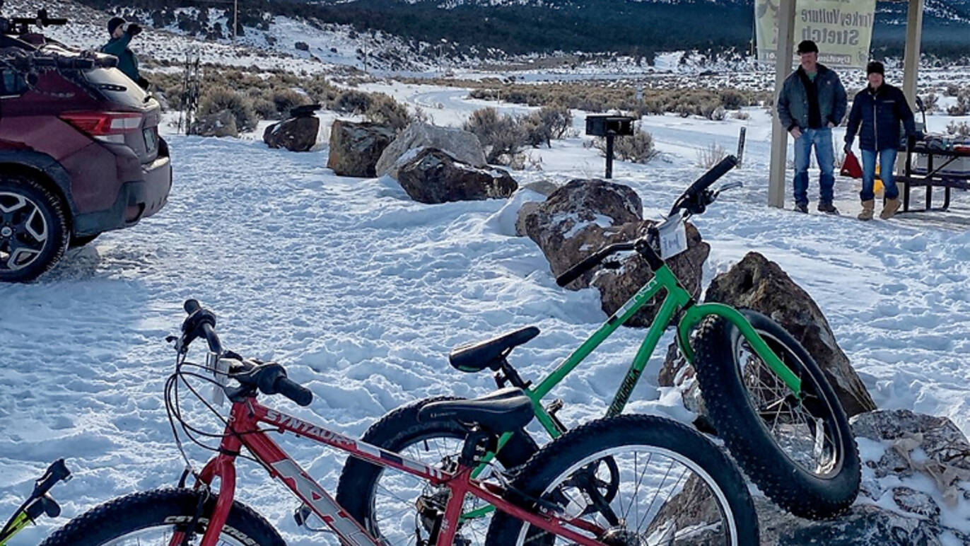 10 Best Winter Festivals in the US to See Ice Sculptures And Snow