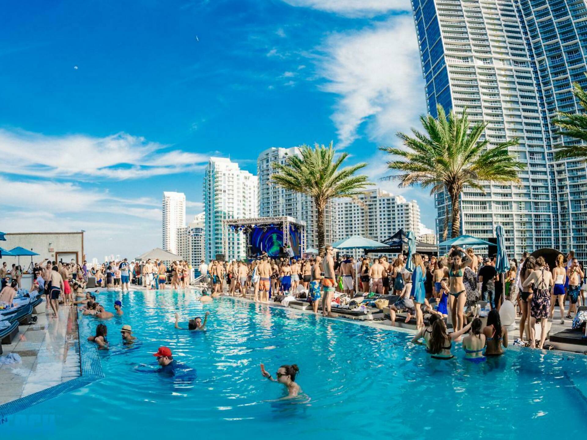 Things to do in and around Miami | Time Out Miami