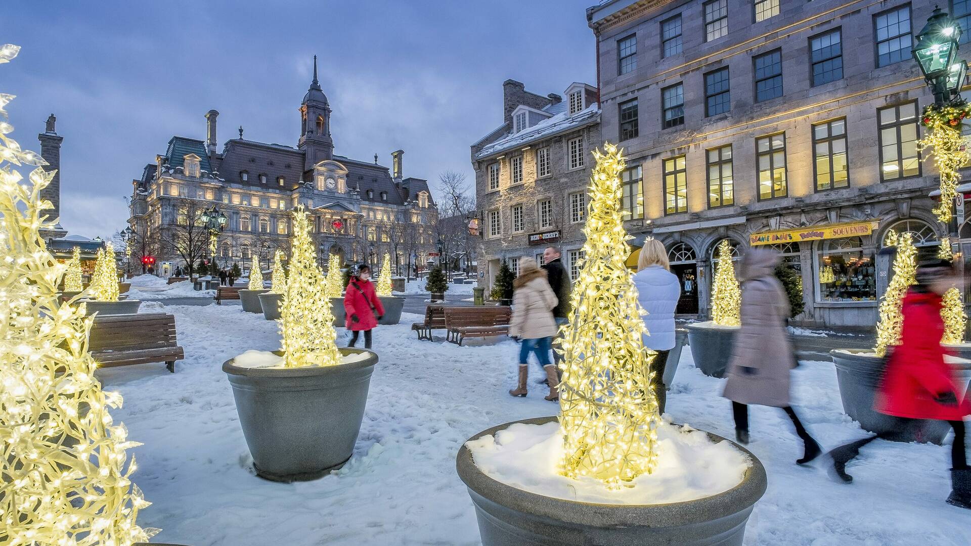 Where to See Christmas Lights in Montreal for the Winter Holidays