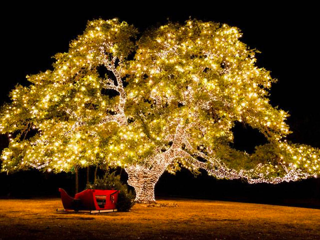 15 Best Christmas Cities in the USA to Visit for the Holidays