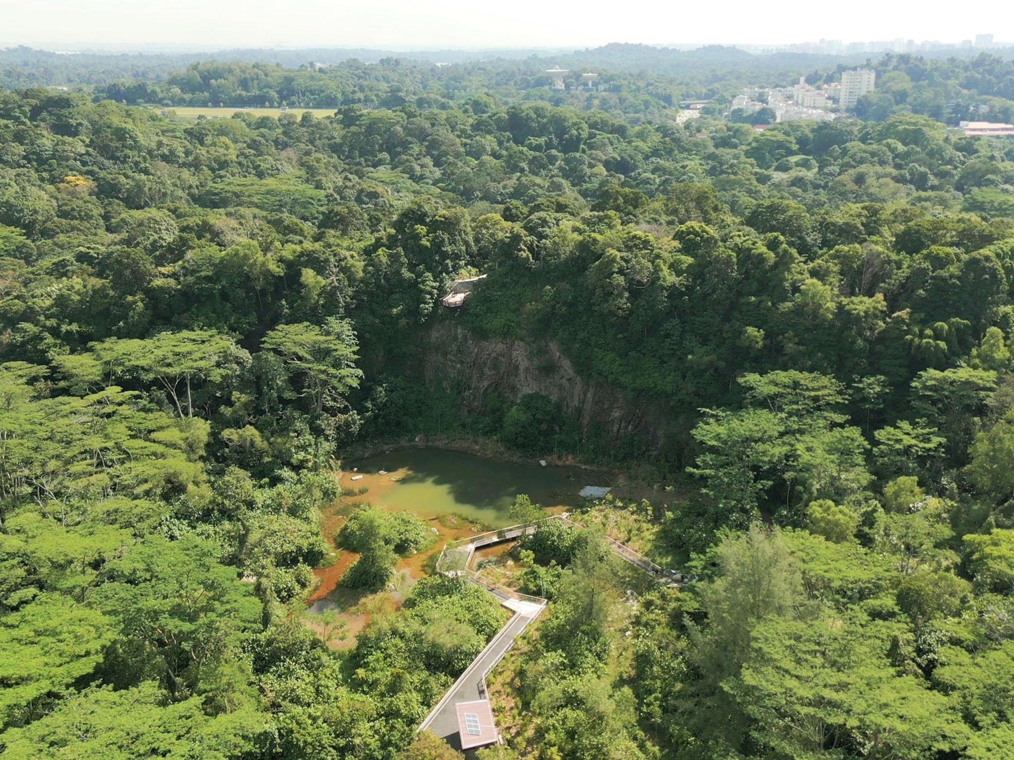 9 Best Outdoor Spots In Singapore To Admire Nature From Above