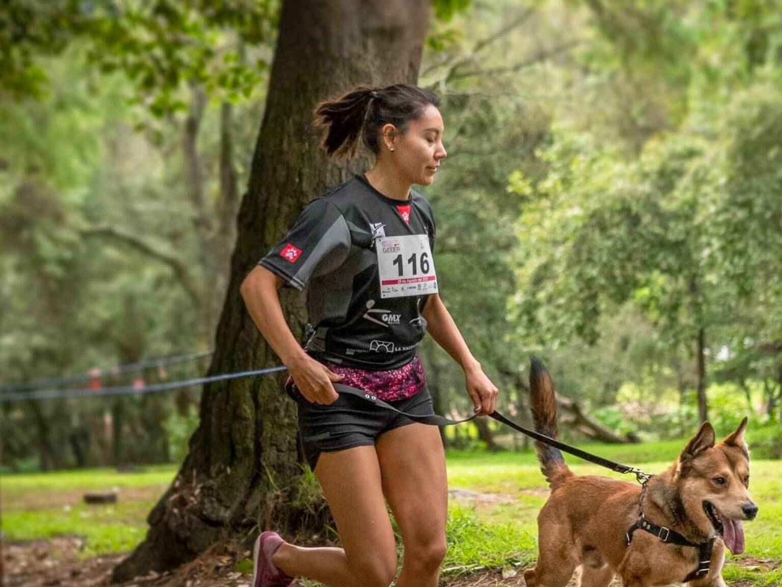 Los mejores parques para perros en la Ciudad de México