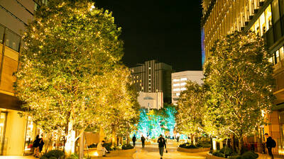 Hibiya Magic Time Illumination | Things to do in Tokyo