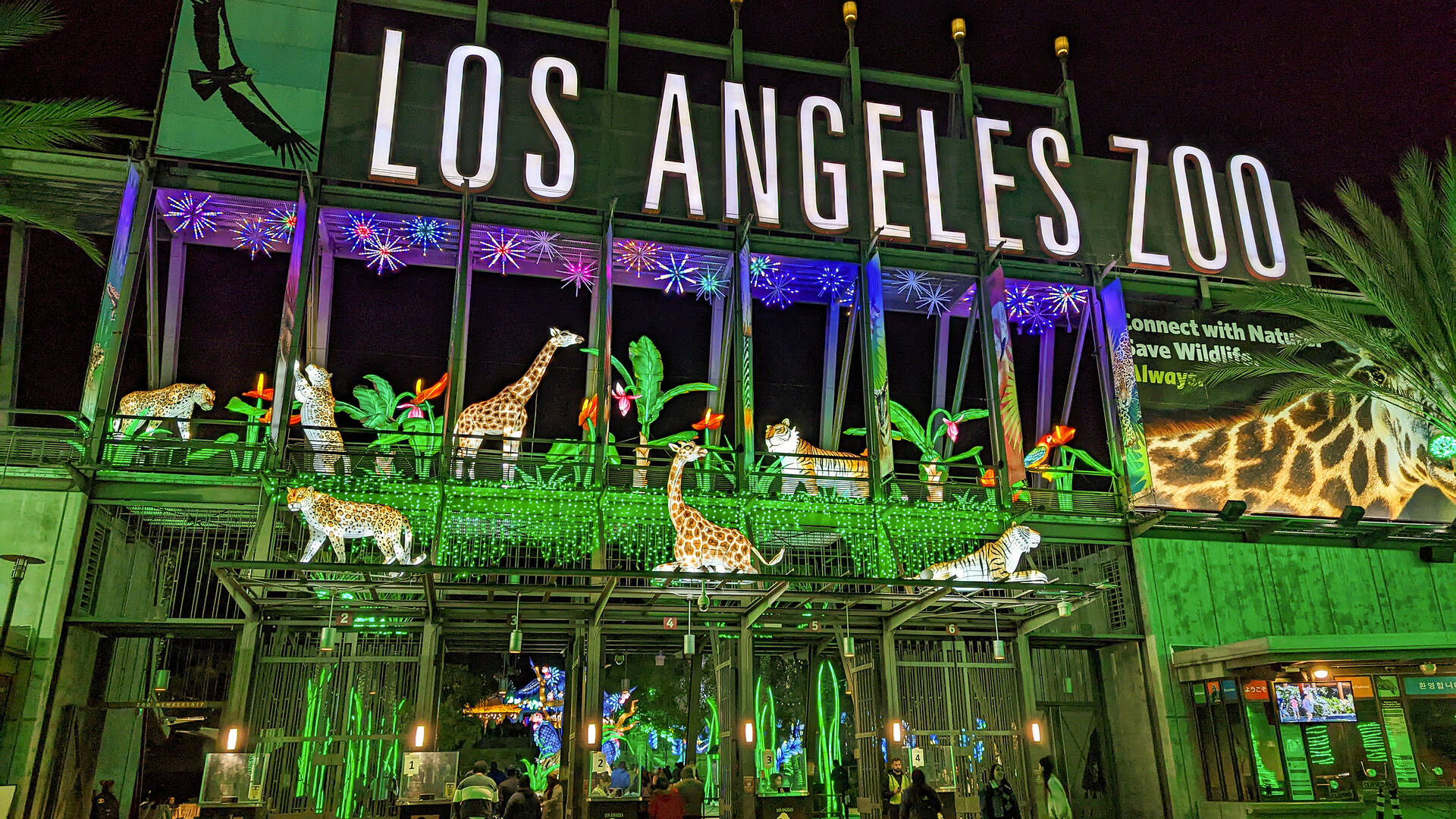 LA Zoo Lights | Things to do in Los Angeles
