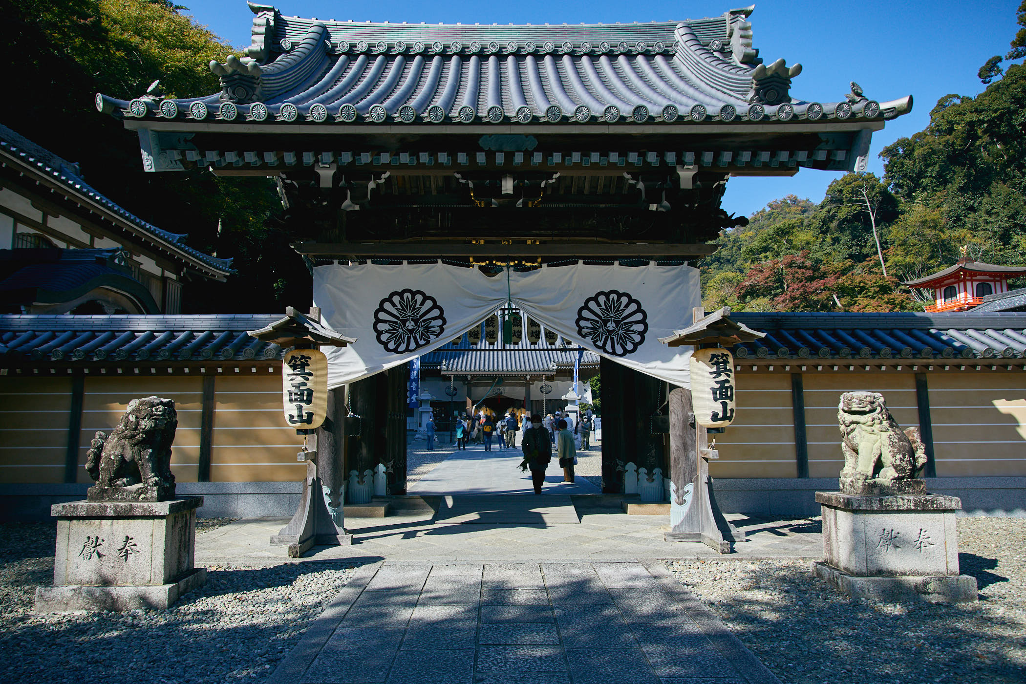 Ryuanji Temple | Things to do in Osaka