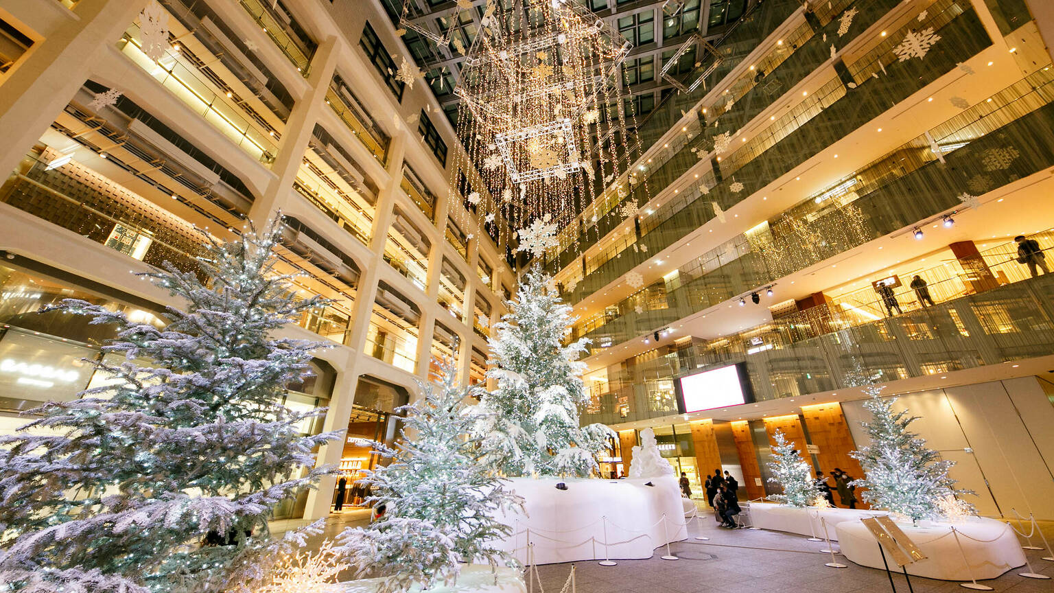 White Kitte | Kitte | Things to do in Tokyo